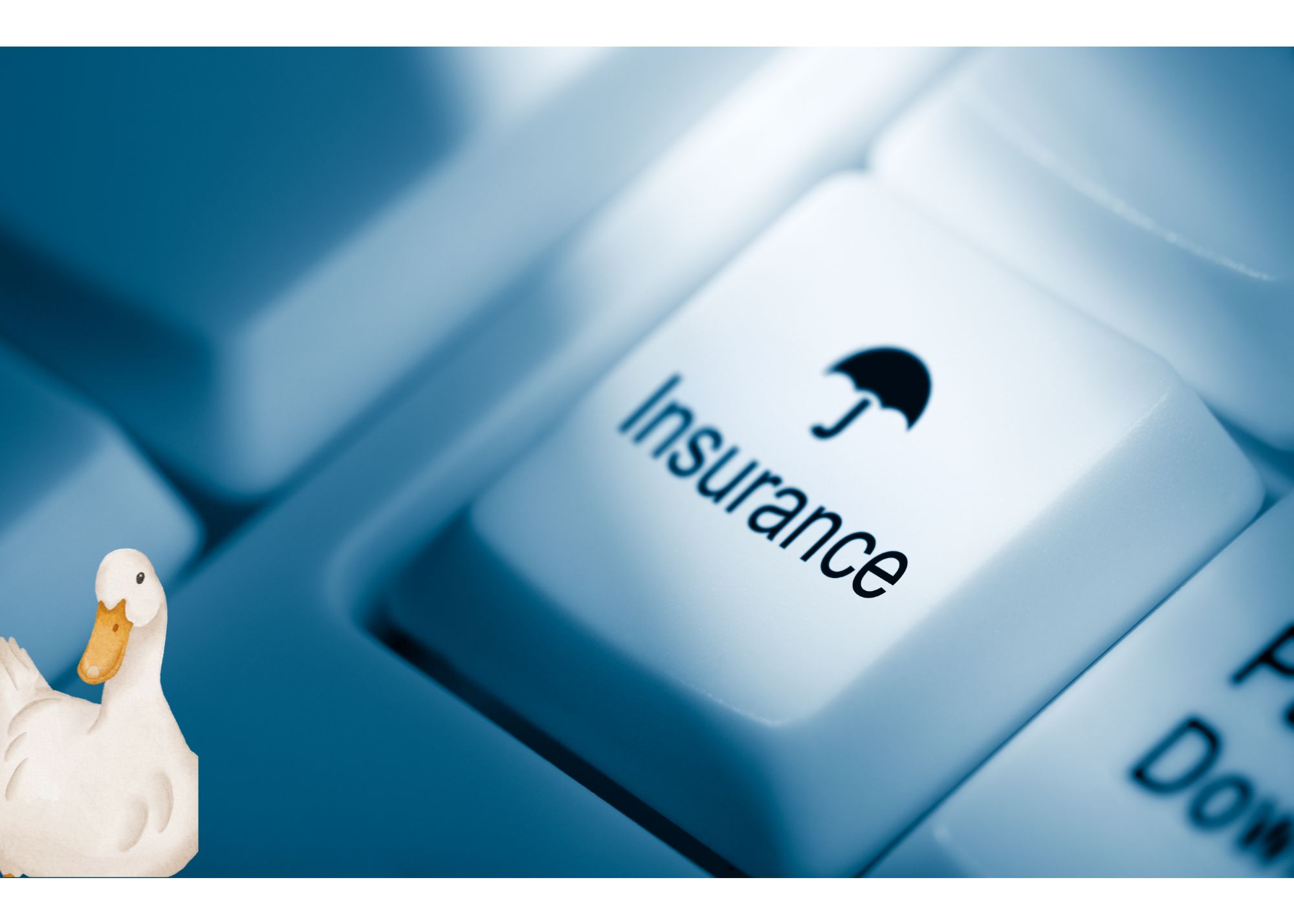 Why Is Aflac Stock Up?